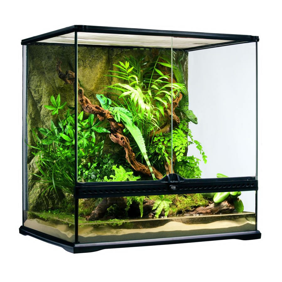 Reptile Housing