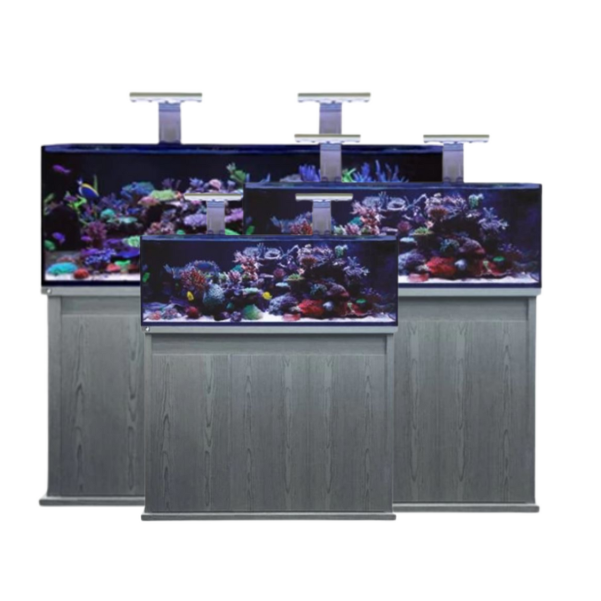 Marine Aquariums | Aqua Group