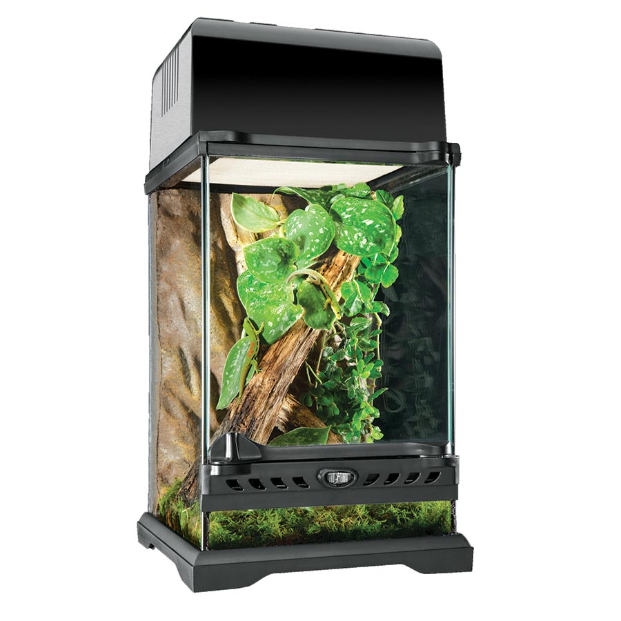 Exo-Terra Terrarium Nano/Tall 20x20x30cm | Aqua Group