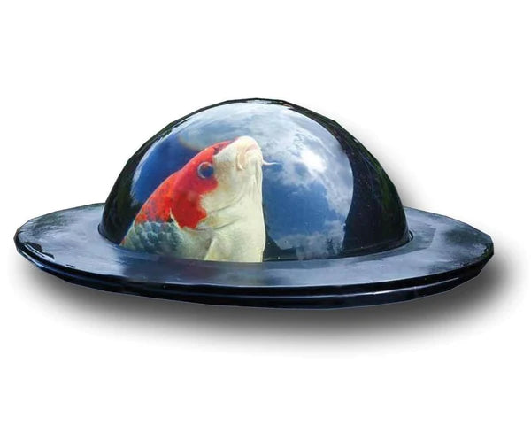 Koi Pond Sphere 900+ Best Koi Ponds Ideas | Koi, Koi Pond, Japanese
